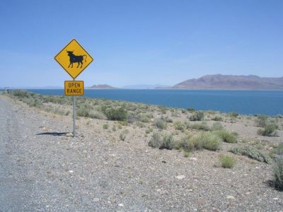 How Open Range Ranching Applies to Non-Ranchers - Countryside